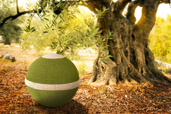 Olea Biodegradable Tree Urn – You Are Forever
