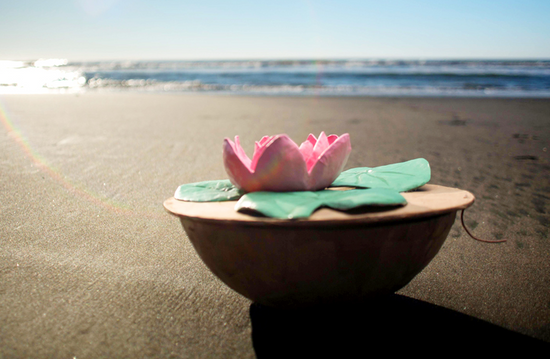 Lotus Sea Burial Biodegradable Urn: You Are Forever